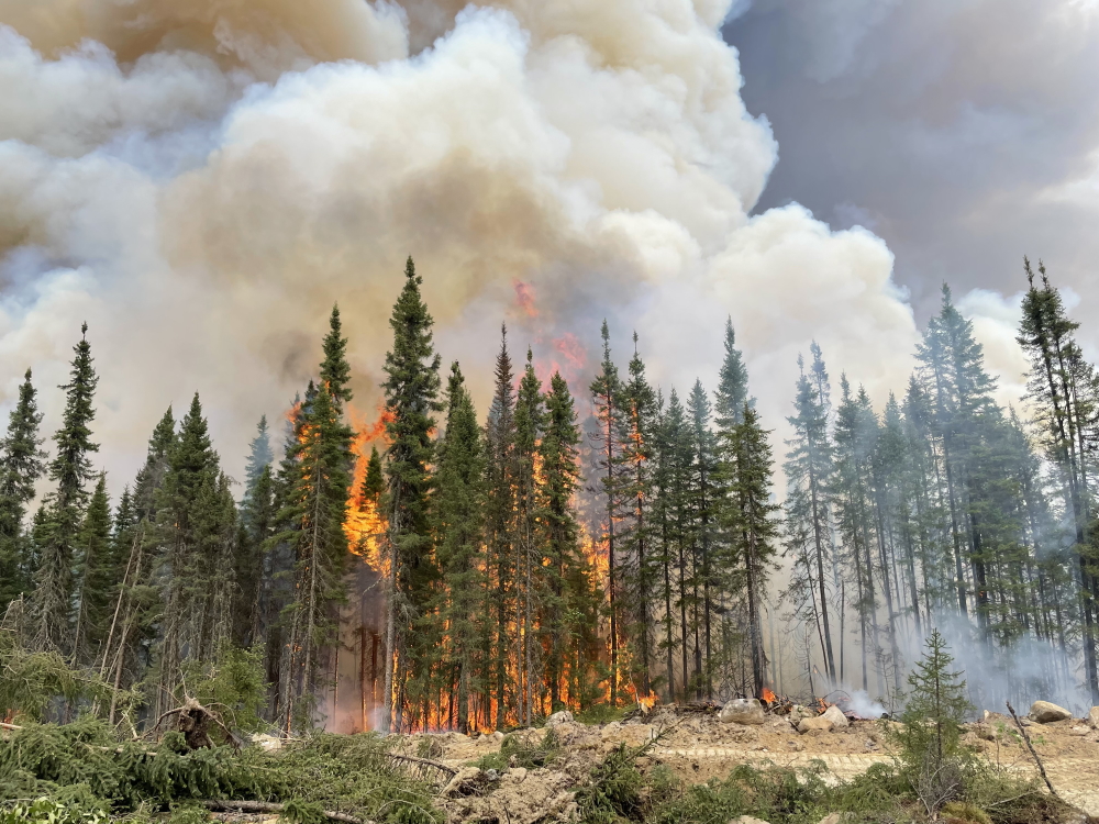 Posts Mislead About Record-Setting Canadian Wildfires Fueled by Climate ...