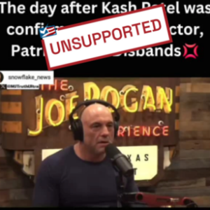 Patriot Front Archives - FactCheck.org