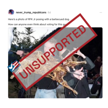 Posts Misrepresent Photo of RFK Jr. With Animal Carcass in Vanity Fair ...